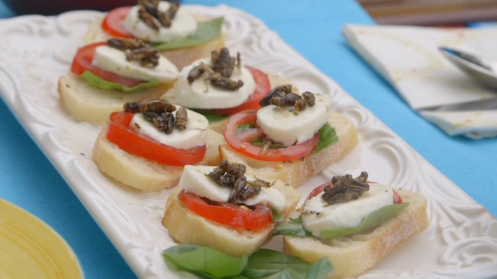 Insect Chefs Are Starting To Win Us Over With Tasty Cricket Creations ...